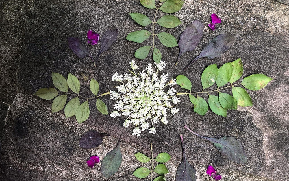 Bookstores Against Borders | Firestorm Books