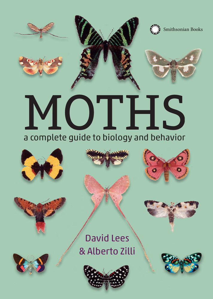 Moths by David C. Lees and Alberto Zilli | Firestorm Books
