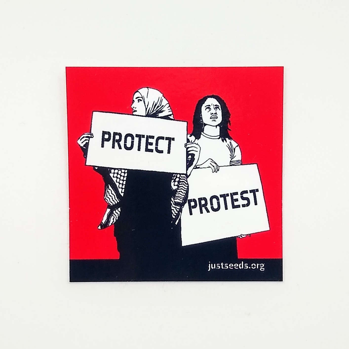 Protect Protest Sticker | Firestorm Books