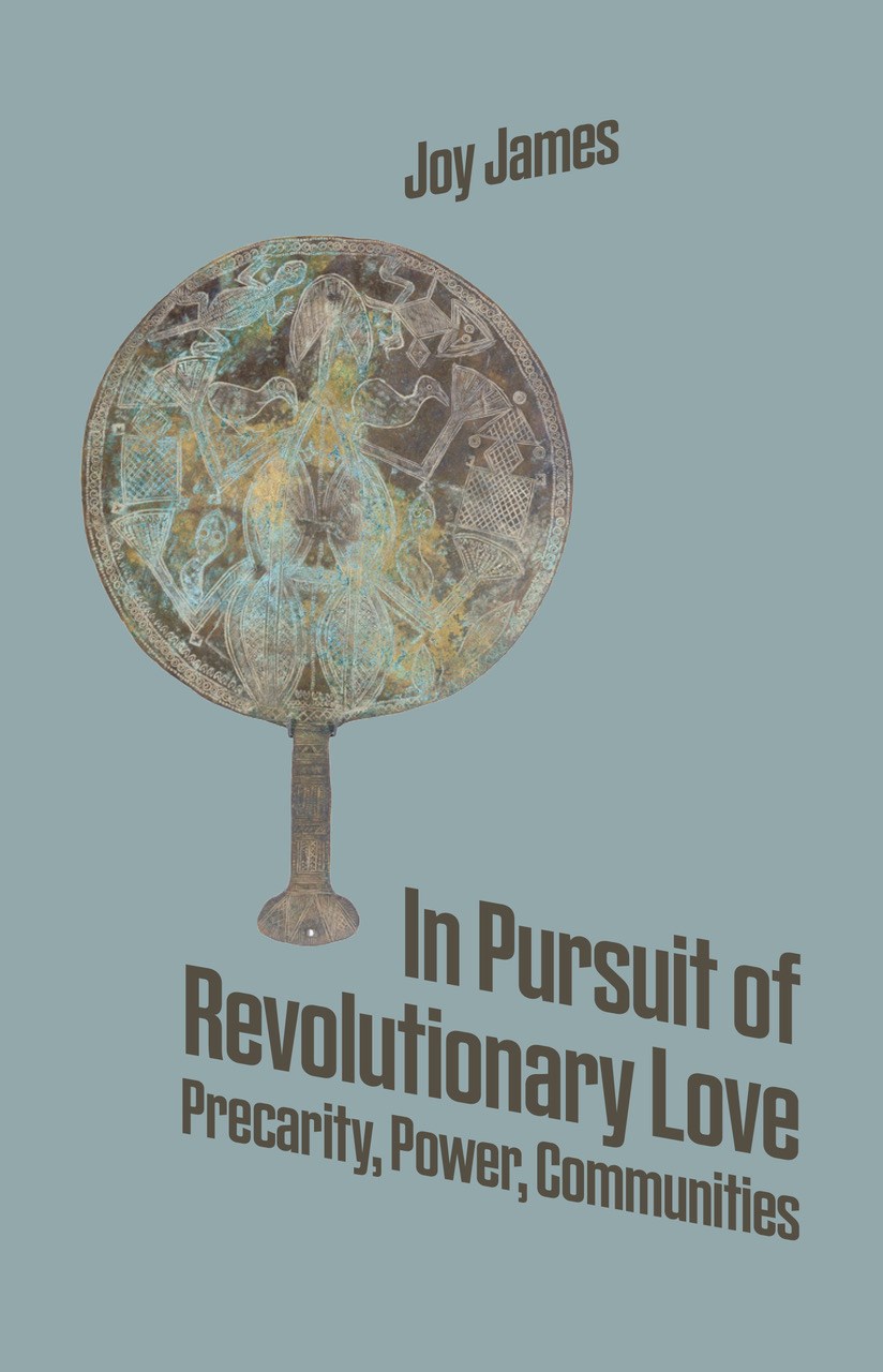 In Pursuit of Revolutionary Love by Joy James | Firestorm Books