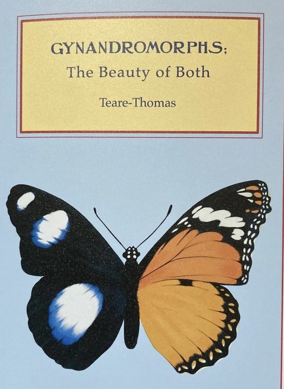 Gynandromorphs by Kieran Teare-Thomas | Firestorm Books