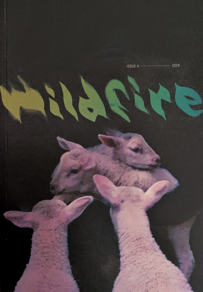 Wildfire Magazine | Firestorm Books