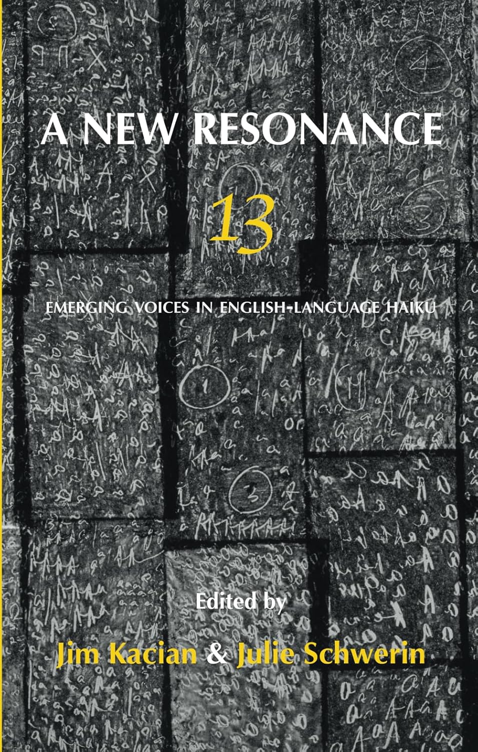 A New Resonance 13 by Jim Kacian and Julie Scbwerin | Firestorm Books