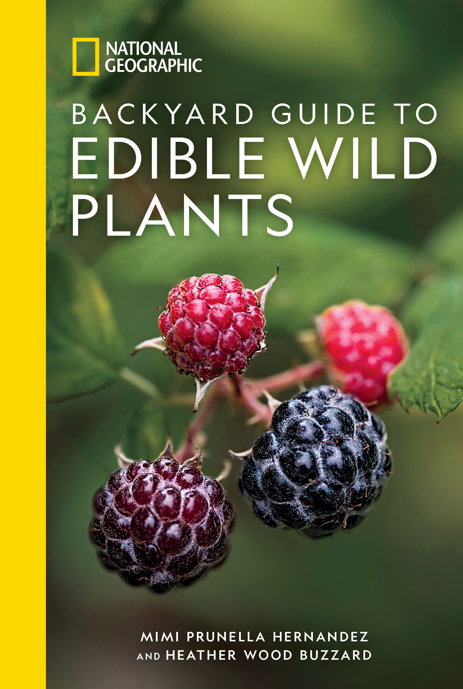 National Geographic Backyard Guide to Edible Wild Plants by Heather ...