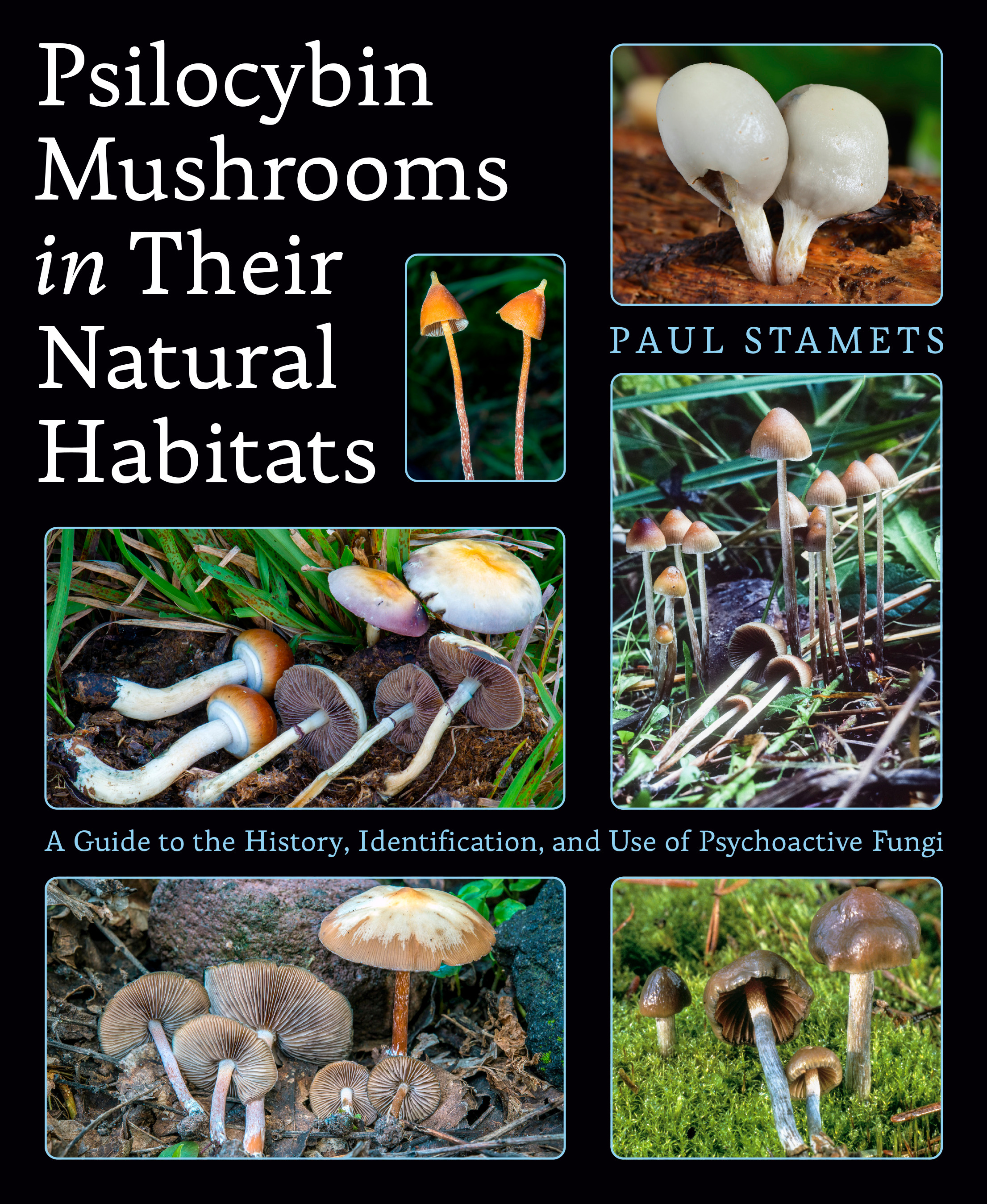Psilocybin Mushrooms in Their Natural Habitats by Paul Stamets | Firestorm Books