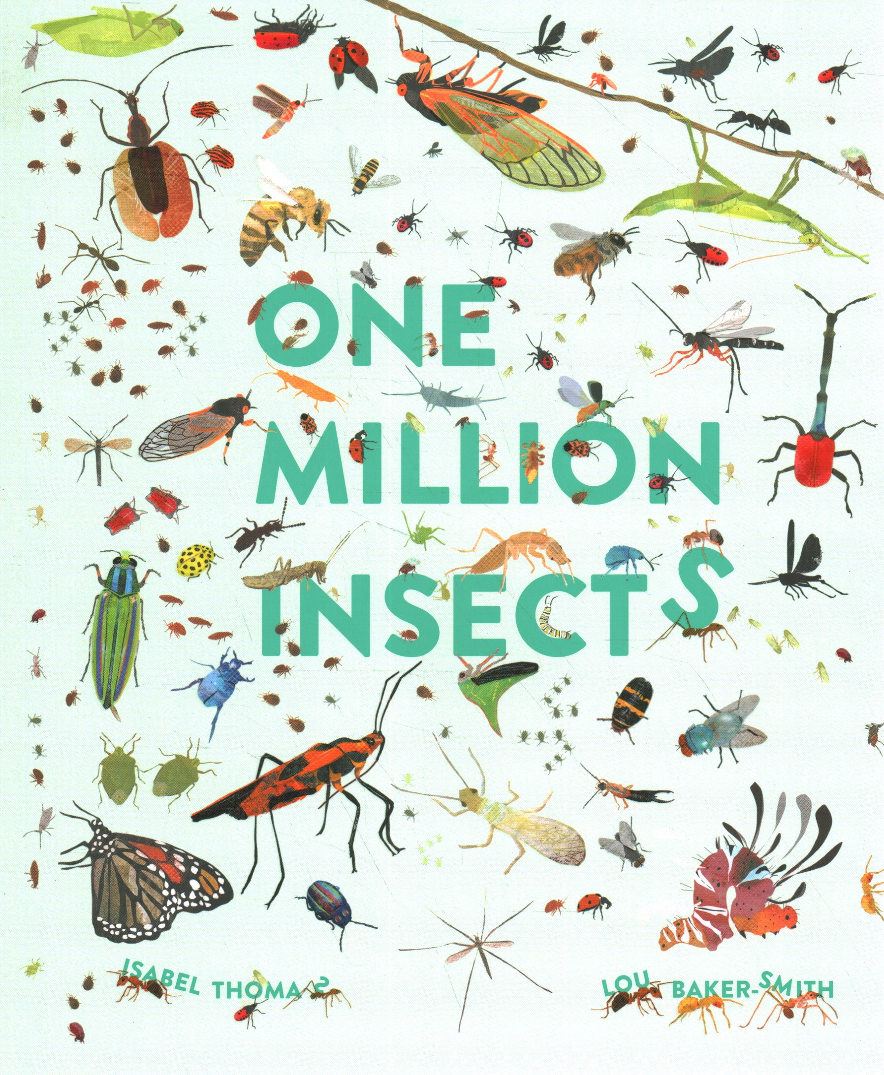 One Million Insects by Isabel Thomas | Firestorm Books