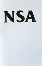NSA by Erick Lyle | Firestorm Books