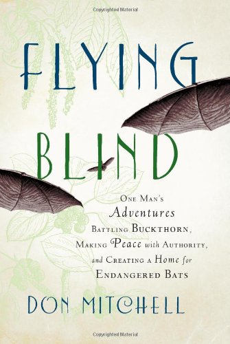 Flying Blind by Don Mitchell | Firestorm Books