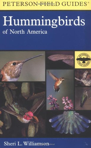 A Field Guide to Hummingbirds of North America (Peterson Field Guides ...